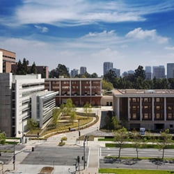 UCLA STEIN EYE INSTITUTE - 25 Photos & 192 Reviews - 100 Stein Plz, Los ...