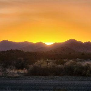 NORTH 40 OUTFITTERS - Updated October 2025 - 16 Reviews - 1227 Koala ...