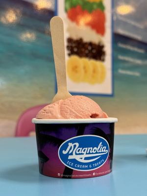 MAGNOLIA ICE CREAM & TREATS - Updated May 2026 - 1373 Photos & 321 ...