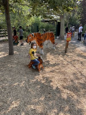 ZOO BOISE - Updated September 2025 - 381 Photos & 201 Reviews - 355 E ...