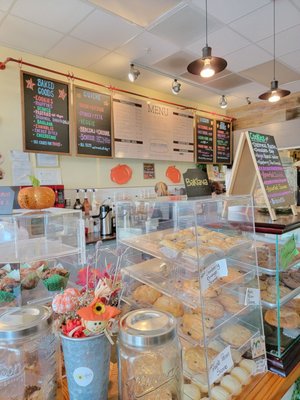 DUNEDIN COFFEE COMPANY & BAKERY - 300 Photos & 184 Reviews - 730 ...
