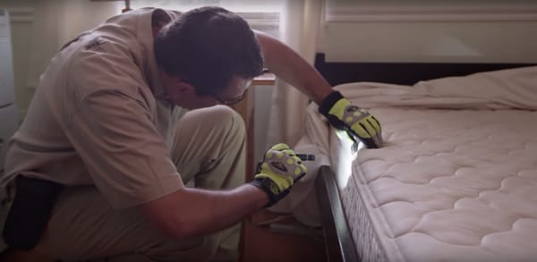 ARTERIX PEST CONTROL - 26 Photos & 134 Reviews - Rockville, Maryland ...