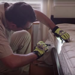 ARTERIX PEST CONTROL - 19 Photos & 119 Reviews - Pest Control ...