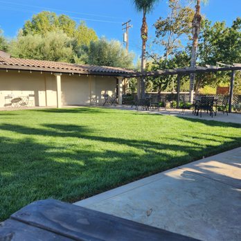 SK HIRA VINEYARDS - Updated October 2025 - 60 Photos & 26 Reviews - 8458 W Linne Rd, Tracy ...