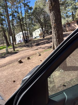 APACHE ACRES RV - Updated December 2025 - 2468 Running Bear Rd, Pinetop ...