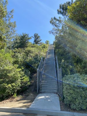 TORREY HILLS PARK - 54 Photos & 19 Reviews - 4260 Calle Mejillones, San ...