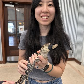 GATOR CHATEAU - Updated July 2025 - 171 Photos & 51 Reviews - 100 Rue ...