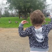 MATHER FIELD LAKE REGIONAL PARK - 354 Photos & 30 Reviews - Parks ...