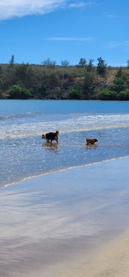 HANAMAULU BEACH PARK - Updated December 2025 - Hehi Rd, Hanamaulu ...