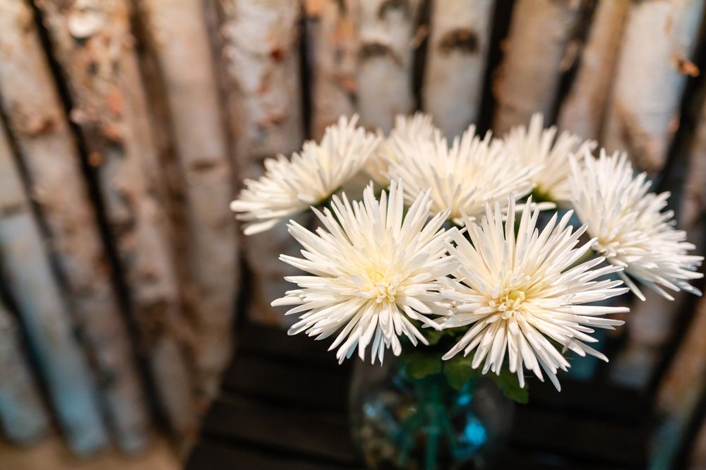 MERIDIAN DAY SPA - 202 Photos & 183 Reviews - Day Spas - 6121 E ...