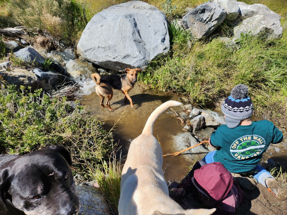 HIKE4ACURE - Updated April 2025 - 23 Photos - Cabazon, California ...