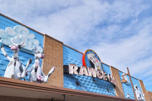 THE RANGE CAFÉ - Updated September 2024 - 884 Photos & 730 Reviews ...