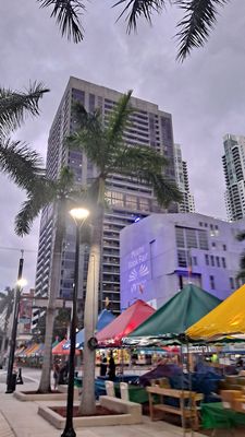 MIAMI DADE COLLEGE - WOLFSON CAMPUS - Updated December 2025 - 79 Photos ...