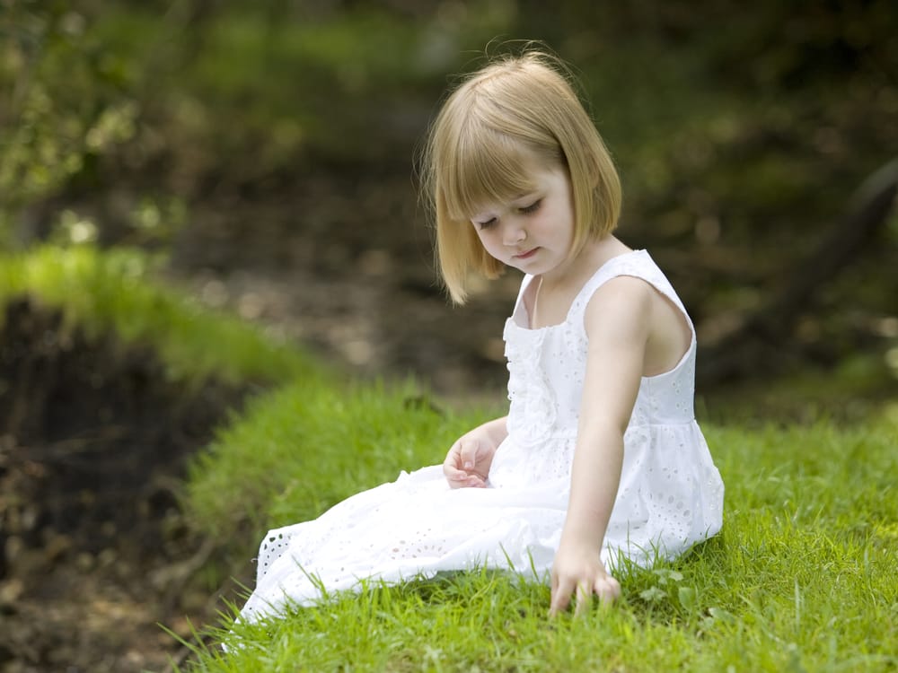 NEIL GATES PHOTOGRAPHY - 12 Photos - 13343 Morning Pl, Plainfield ...