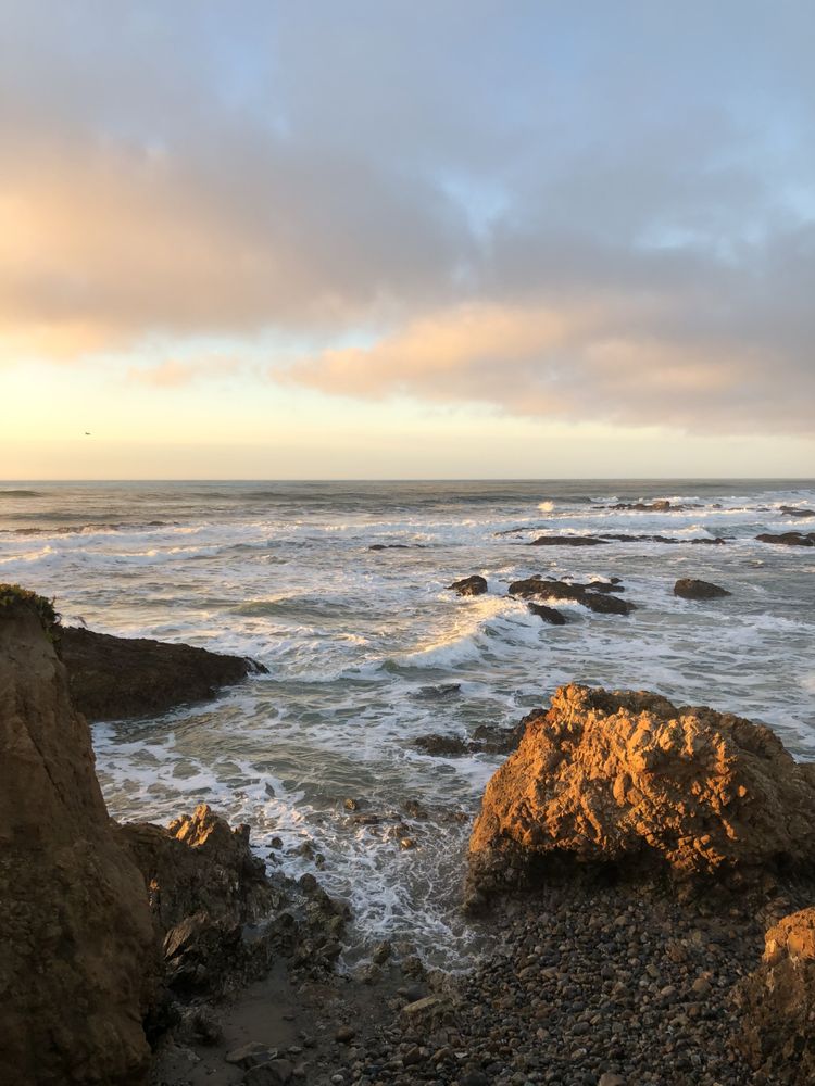 BARE BEACH - Updated March 2025 - 21 Photos - Hayward, California ...