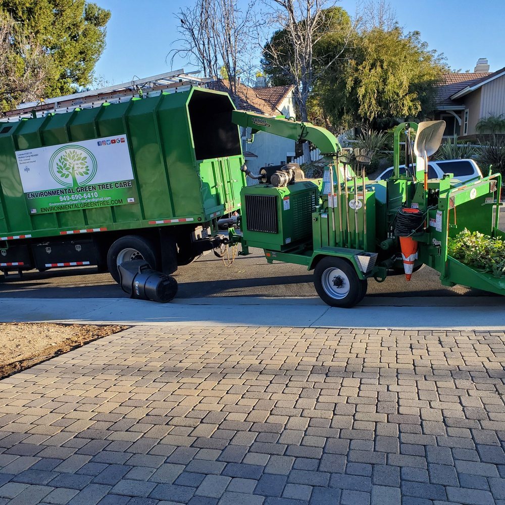 KILLELEA ENVIRONMENTAL TREE CARE - Updated June 2025 - 32 Photos ...