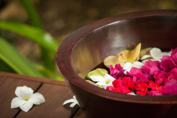 APPLE SPA - 23 Photos - 8633 Monroe Rd, Charlotte, NC - Yelp