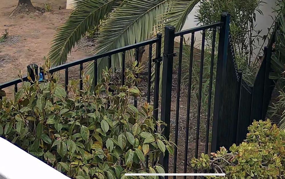 Tornado Fence Updated June 2025 47 Photos And 36 Reviews 827 N Fig St Escondido California