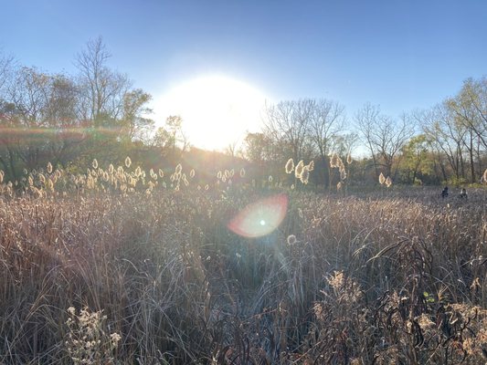 NORTH PARK VILLAGE NATURE CENTER - Updated December 2024 - 198 Photos ...