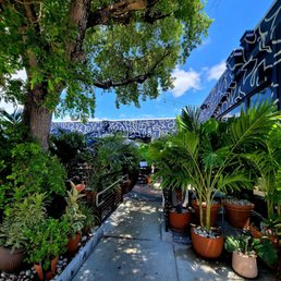 DOYA - Updated December 2025 - 1628 Photos & 563 Reviews - 347 NW 24th ...