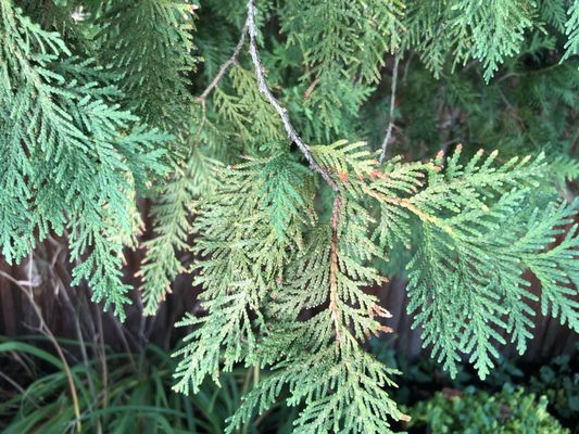 PECO - Updated February 2026 - 27 Photos & 112 Reviews - 2301 Market St ...