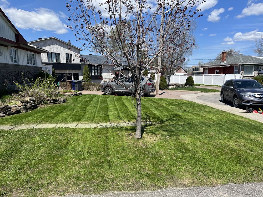 MISTERGRASS - Request a Quote - Montréal, Quebec, Canada - Lawn ...