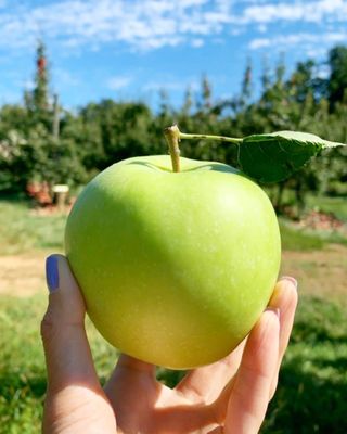 MELICK’S TOWN FARM - Updated September 2024 - 29 Photos & 31 Reviews ...