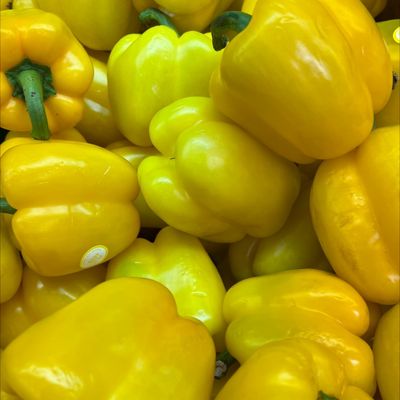 TANNER BROTHERS DAIRY - 87 Photos & 142 Reviews - 1070 Hatboro Rd ...