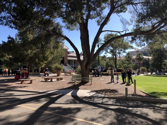 THE UNIVERSITY OF ARIZONA - Updated May 2026 - 191 Photos & 98 Reviews ...