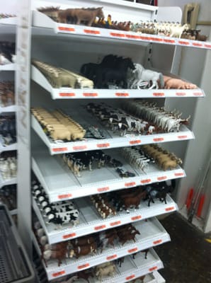 FLEET FARM - Updated December 2025 - 11 Photos & 15 Reviews - 3815 W ...