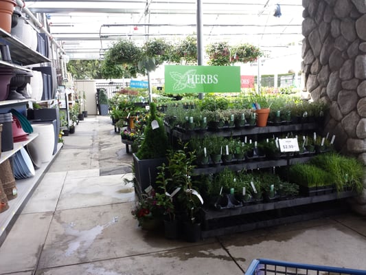 WILCO FARM STORE - PUYALLUP - Updated December 2025 - 43 Reviews ...