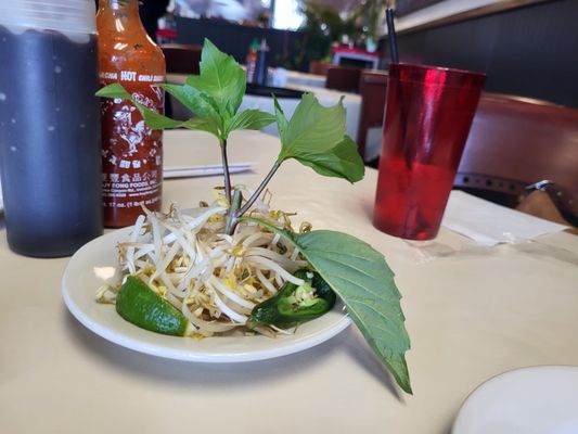 TAYDO VIETNAMESE & CHINESE RESTAURANT - Updated October 2025 - 157 ...