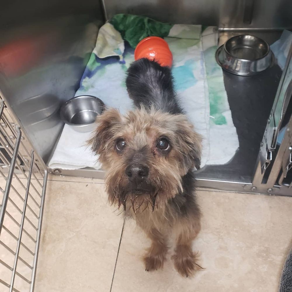 RIVERSIDE VETERINARY CARE ON COLUMBUS - Updated December 2025 - 10 ...