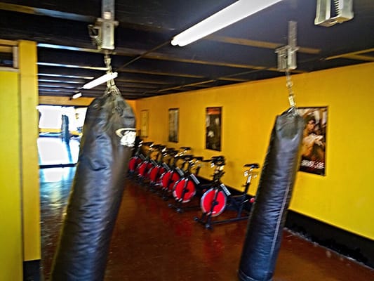 FIT NATION GYM - Updated August 2025 - 74 Photos & 132 Reviews - 11703 ...