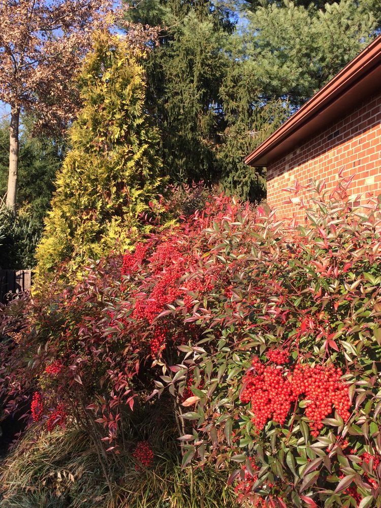 MARYLAND GARDENS TREE & SHRUB FARM - Updated June 2026 - 11 Reviews ...