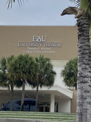 FLORIDA ATLANTIC UNIVERSITY - Updated October 2025 - 143 Photos & 63 ...