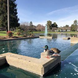 SUNNYVALE COMMUNITY CENTER - 120 Photos & 32 Reviews - Community ...