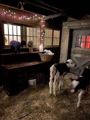 ROSE BRIDGE FARM & SANCTUARY - 55 Reviews & 156 Photos - 1314 N ...