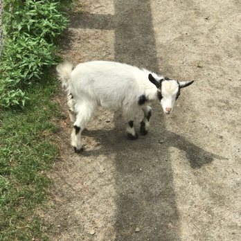 DEW HAVEN - Updated December 2025 - 79 Photos & 20 Reviews - 918 Pond ...