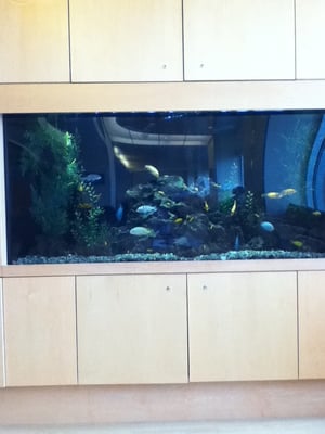 ST ELIZABETH’S MEDICAL CENTER - Updated January 2026 - 16 Photos & 200 ...