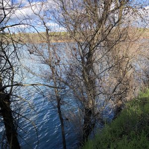 SHADOW CLIFFS REGIONAL RECREATION AREA - 195 Photos & 135 Reviews ...