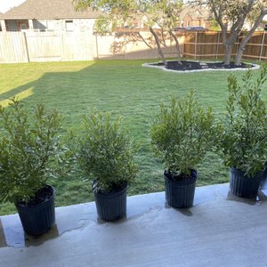 LAWNS TREE FARM - 31 Photos - 400 Honeycomb Mesa, Leander, Texas ...