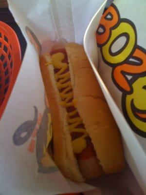 BOZ HOT DOGS - 21 Reviews - 2513 Ridge Rd, Lansing, Illinois - Hot Dogs ...