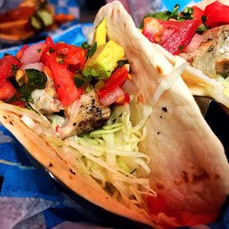 ROSIE’S BAR & GRILL - 1215 Photos & 903 Reviews - 2449 Wilton Dr ...