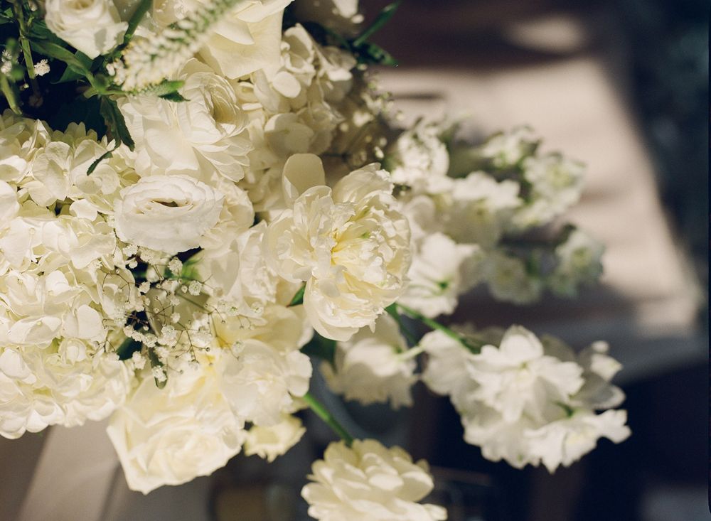 JULIA TESTA - Updated December 2025 - 173 Photos & 66 Reviews - 111 ...