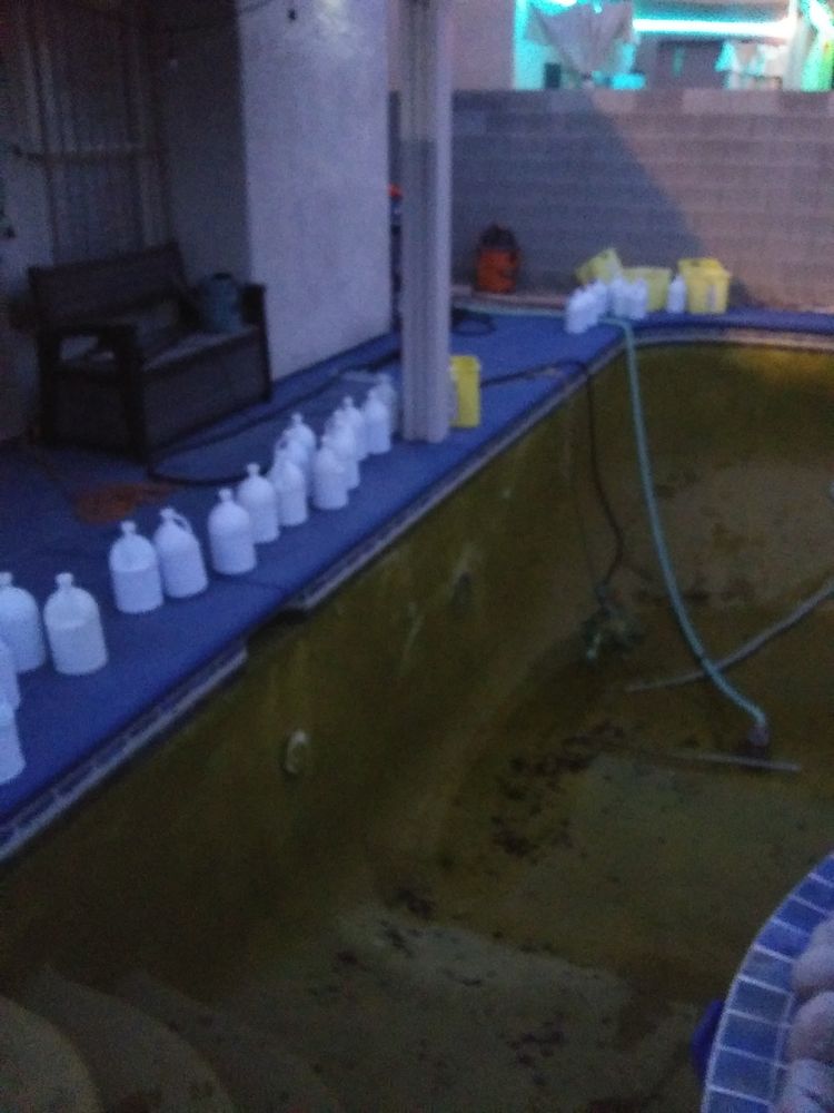 WILD WEST POOL SERVICE INC - Updated December 2025 - 15 Photos - 5239 ...