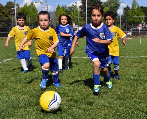 ALBANY-BERKELEY SOCCER CLUB - Updated January 2026 - 16 Photos & 36 ...