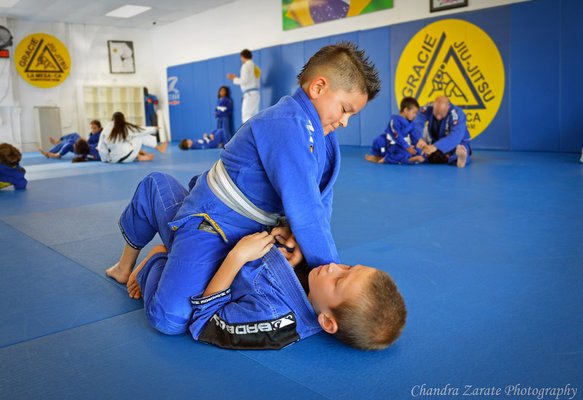 GRACIE HUMAITA LA MESA BRAZILIAN JIU JITSU - Updated December 2025 - 32 ...