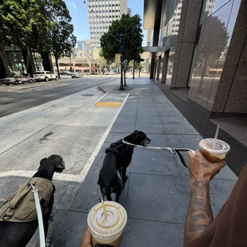 MIO + TUO - Updated September 2024 - 127 Photos & 93 Reviews - 1229 ...