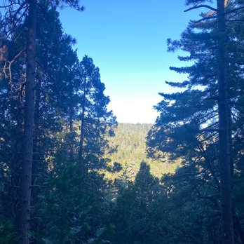 DOGWOOD FAMILY CAMPGROUND - Updated August 2025 - 239 Photos & 199 ...